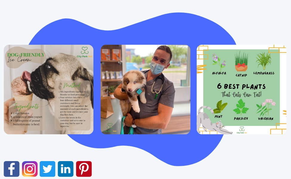 The Ultimate Veterinary Marketing Guide - Veterinary IT Services